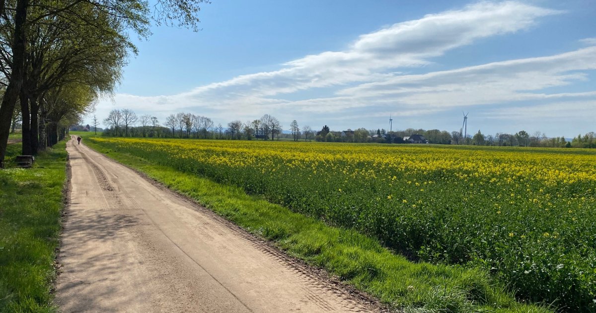 Stemwedes Fahrradtauglichkeit im Blick | Gemeinde Stemwede